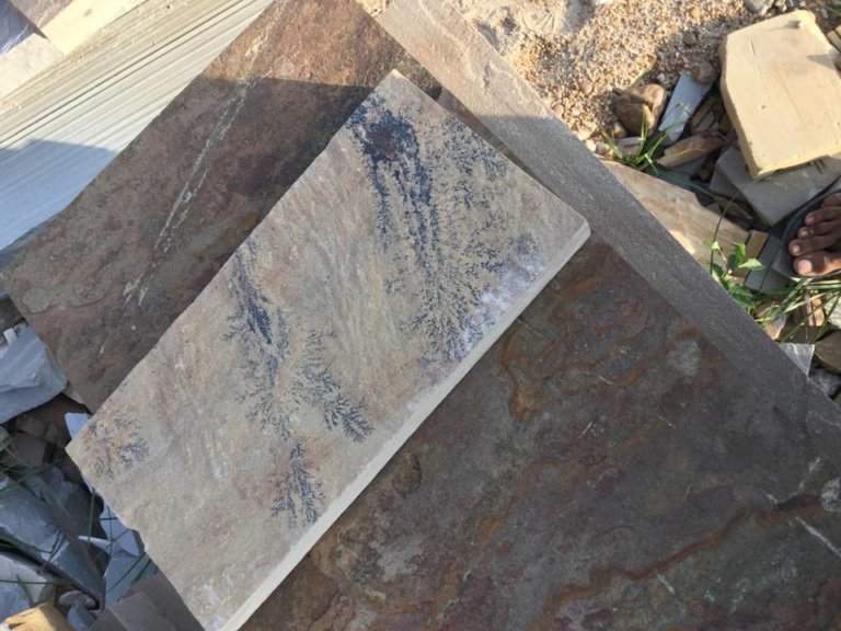 Mint Fossil Bricks - Natural Stone Depot Pvt. Ltd